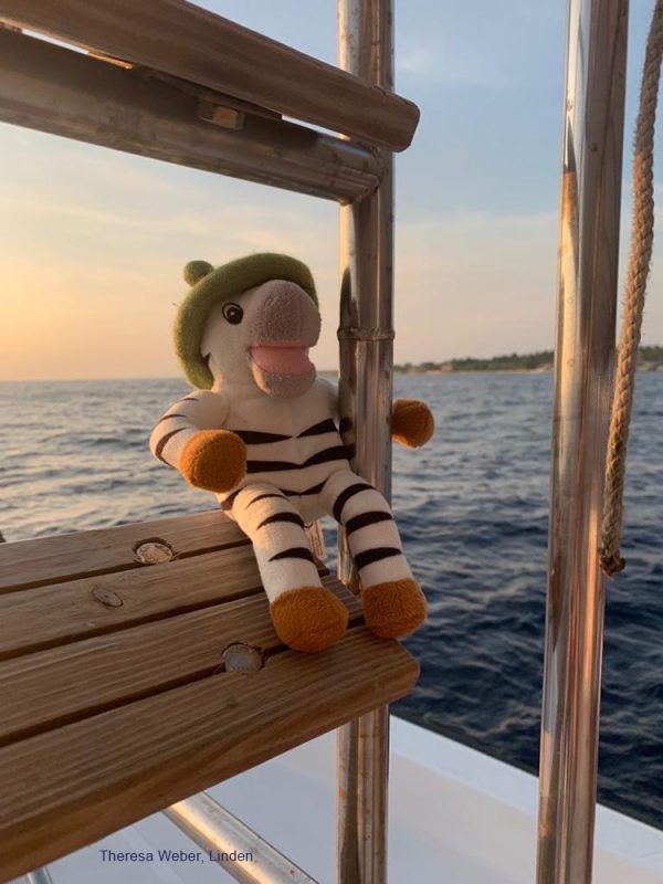 Franz im Urlaub – Ferienerlebnisse als Gesprächsanlass nutzen