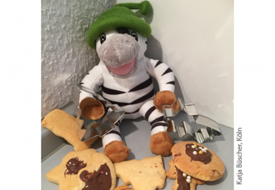 Lesen üben mit dem Zebra 1 Lesemalheft