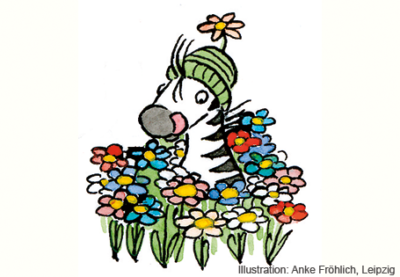 Start - Zebrafanclub - der Blog zum Lehrwerk